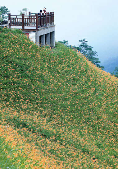 A Rural Reconnection - Taiwan Today