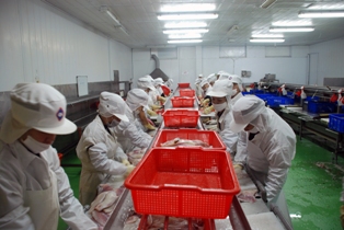 Taiwan tilapia farmer turns poor man’s fish into gold - Taiwan Today