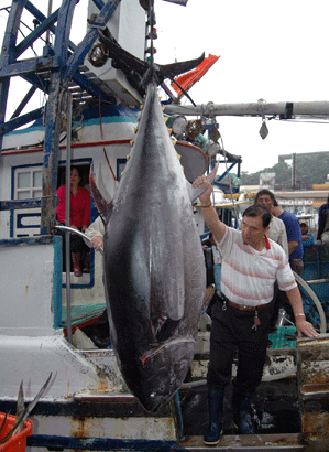 Taiwan becomes IATTC member - Taiwan Today