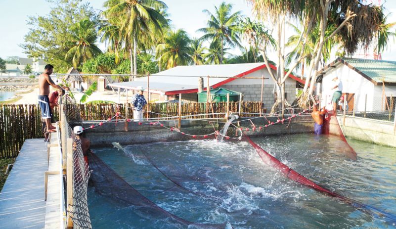 Aid through Aquaculture - Taiwan Today
