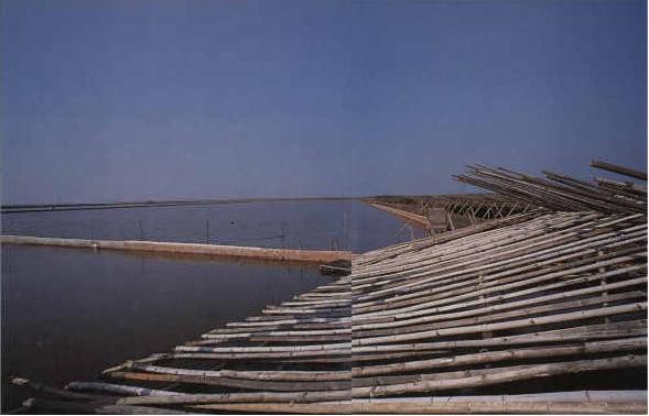 Fish from Taiwan for a World of Gourmets - Taiwan Today