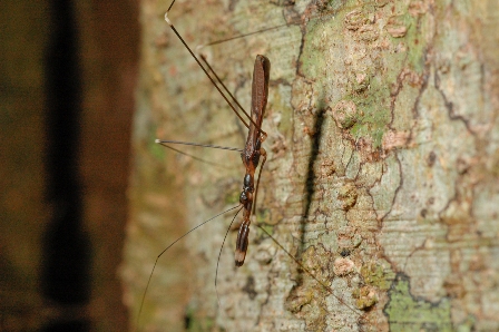 New insects discovered in Kenting National Park - Taiwan Today