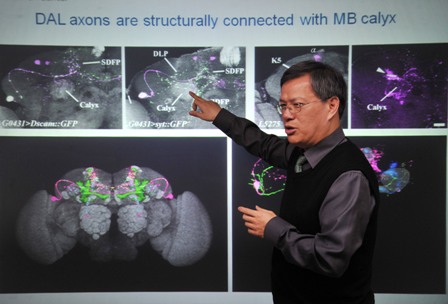 Taiwan scientists unveil secrets of memory - Taiwan Today