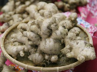 Measures taken to boost ginger prices - Taiwan Today