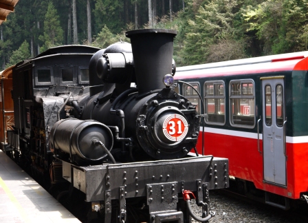 Trains revived for Alishan railway anniversary - Taiwan Today
