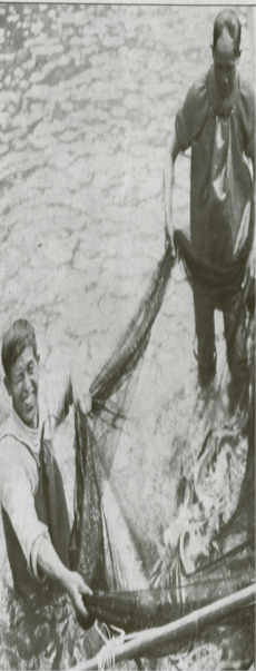 Trout in the tropics: a success story - Taiwan Today