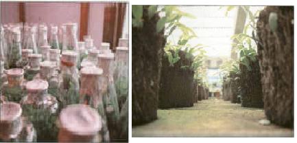 Taipei' center for plant promotion - Taiwan Today