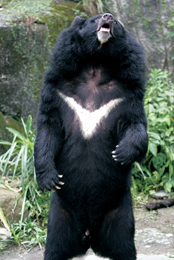 A Legend in the Field - Taiwan Today