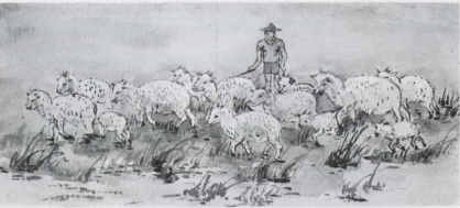 Year of the sheep - Taiwan Today