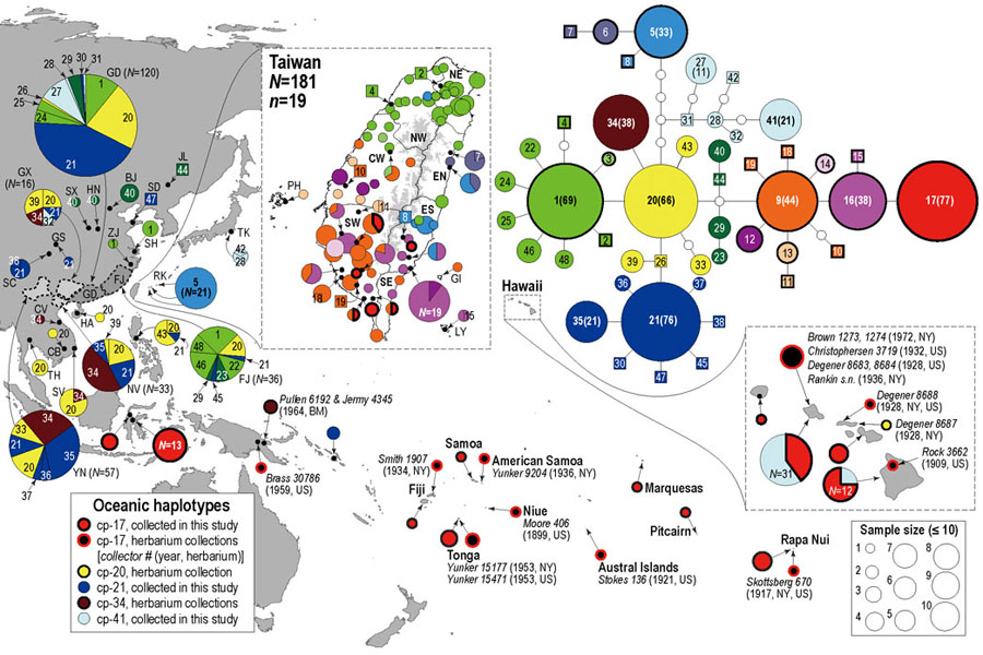 Austronesian Roots - Taiwan Today