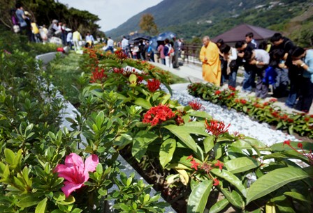 Floral cemetery - Taiwan Today