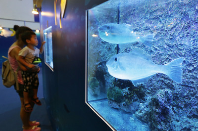 Aquatic wonderland - Taiwan Today