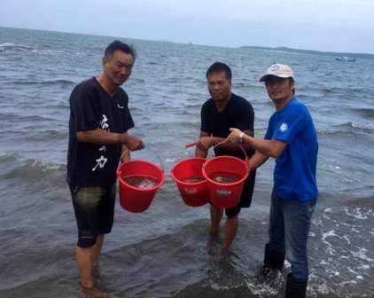 Penghu release - Taiwan Today