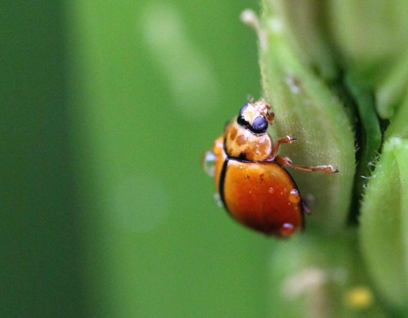 International scientific review to publish Taiwan case results - Taiwan ...