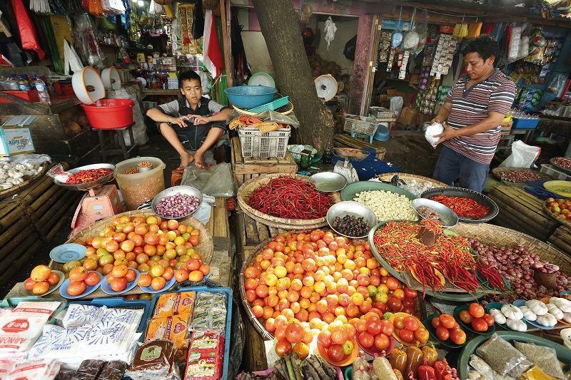 The Taste of Home: —Savor a Spoonful of Southeast Asian Spices