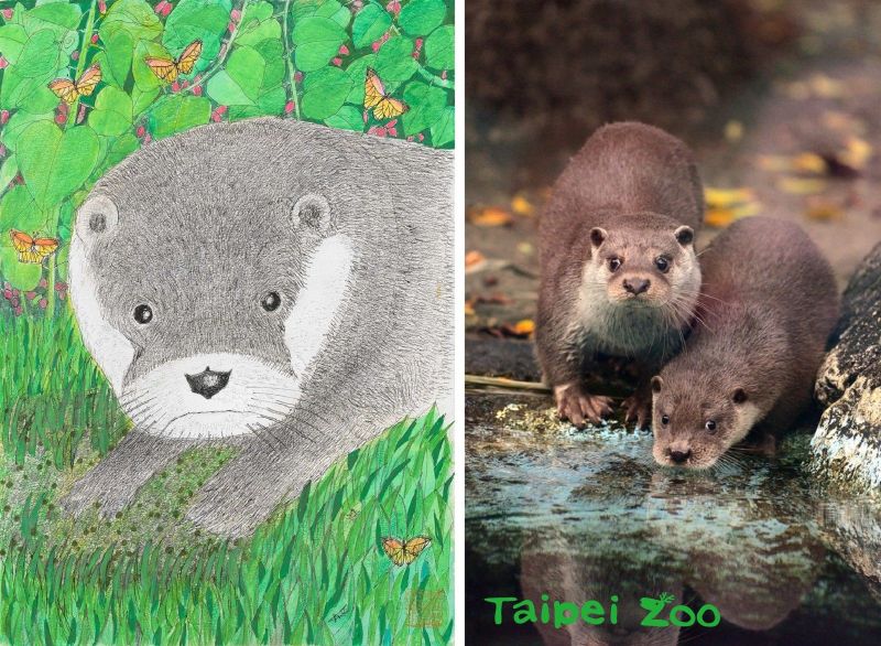 Otter stars - Taiwan Today