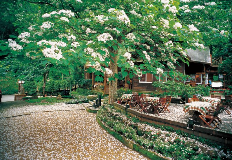 Hakka Heritage - Taiwan Today