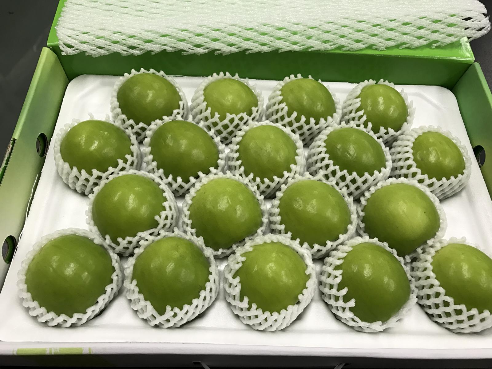 Taiwan’s jujubes set to take SKorea by storm - New Southbound Policy Portal
