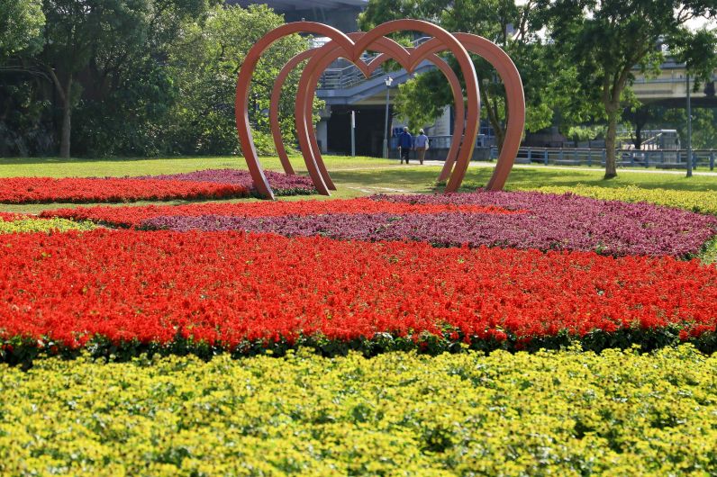 Fabulous flowers - Taiwan Today