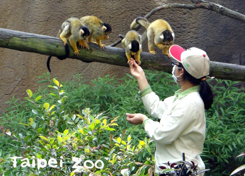 Chow time - Taiwan Today