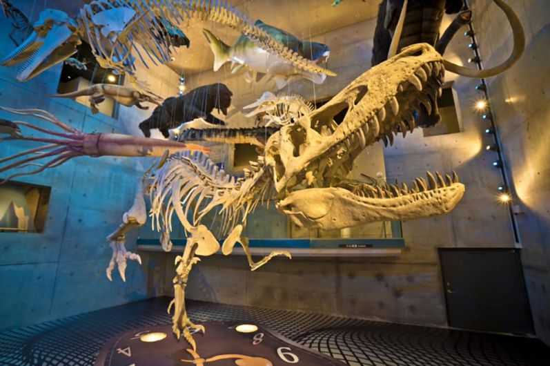 Fierce predators - Taiwan Today