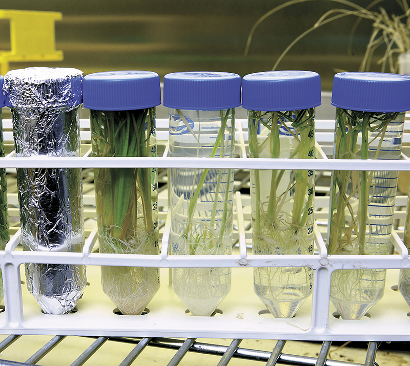 Future Farming - Taiwan Today