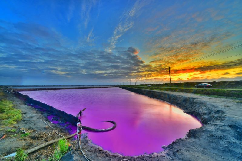 Color vista - Taiwan Today