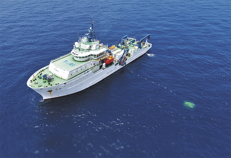 Into the Deep - Taiwan Today