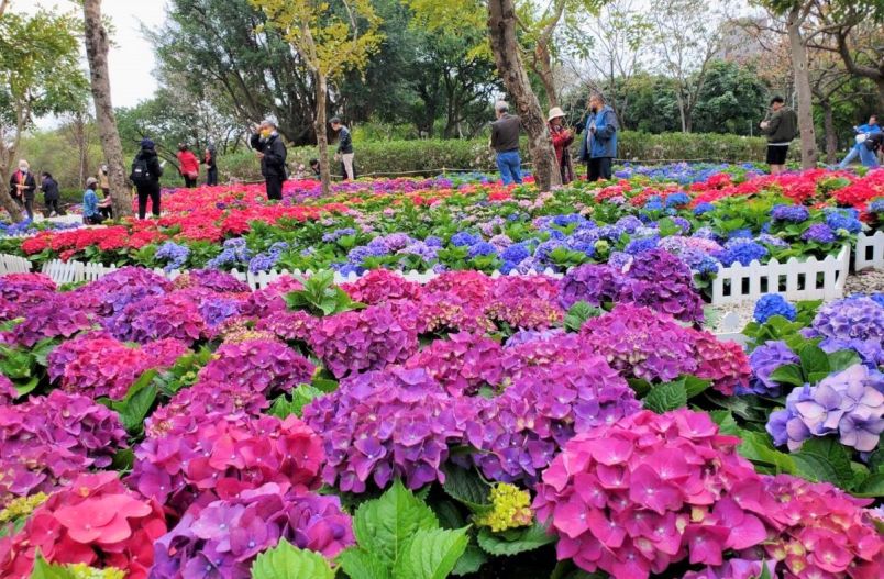 Stunning colors - Taiwan Today