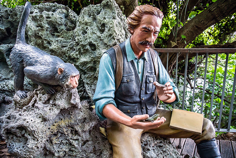 The Taiwan Journey of a British Diplomat—Robert Swinhoe, First ...