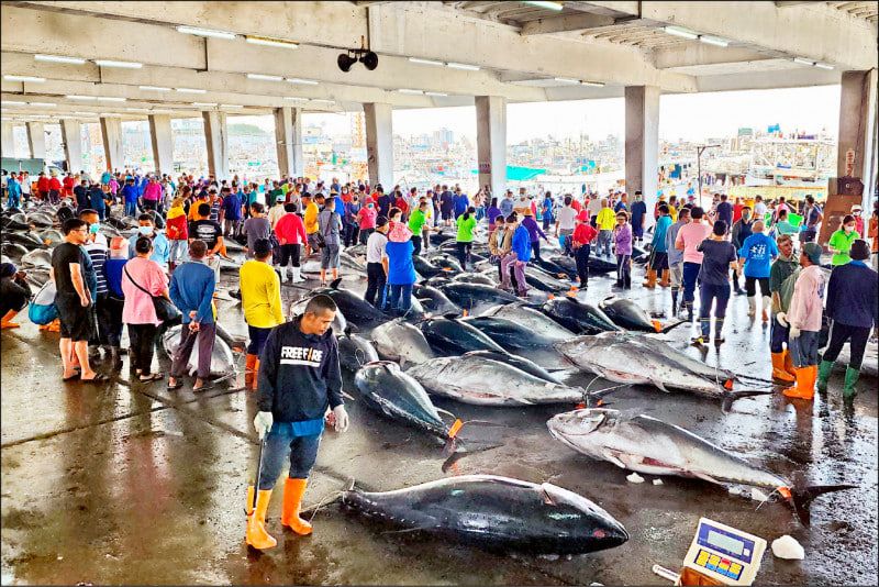 Tuna in - Taiwan Today