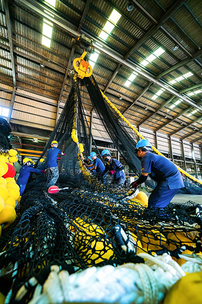 The New Sea Powers—King Chou and Sun Rise Cast Their Nets Wide