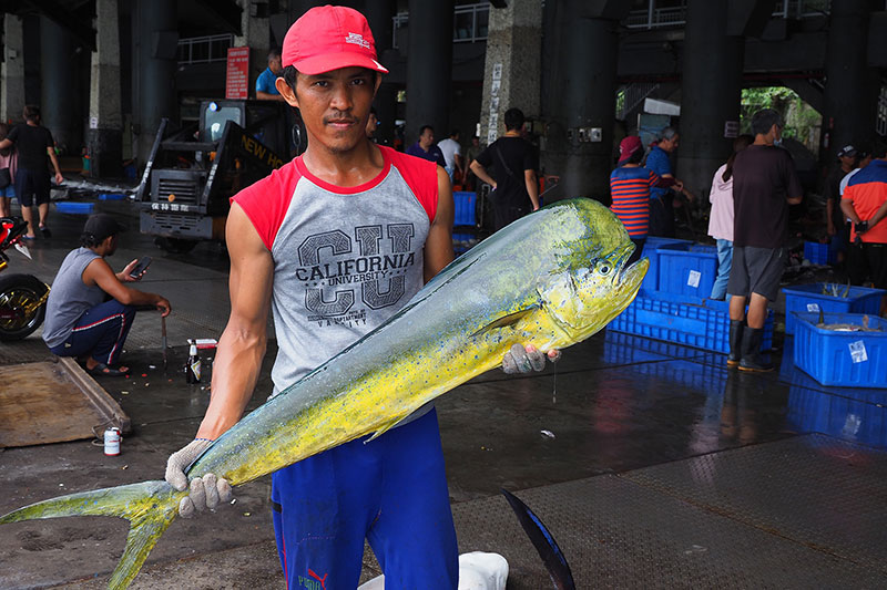 “Demon-Head Knives” and Sustainable Fishing: Mahi-Mahi - New Southbound ...