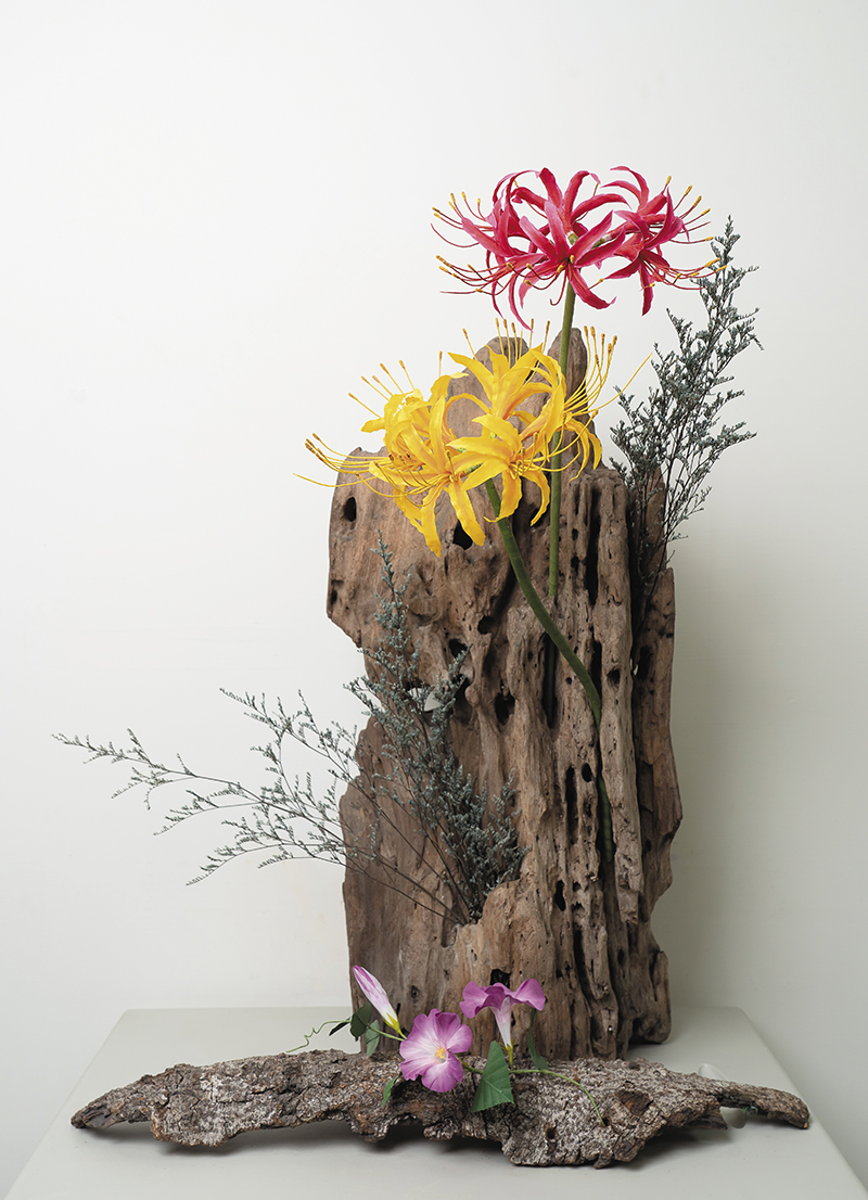 Delicate Blooms - Taiwan Today