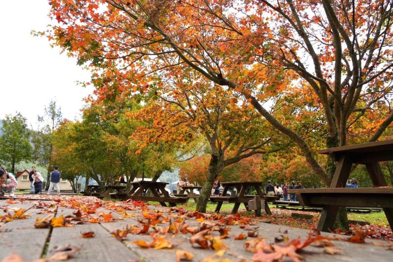 Fall arrives - Taiwan Today