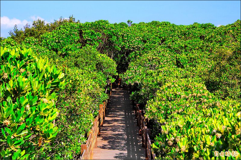 Cool stroll - Taiwan Today