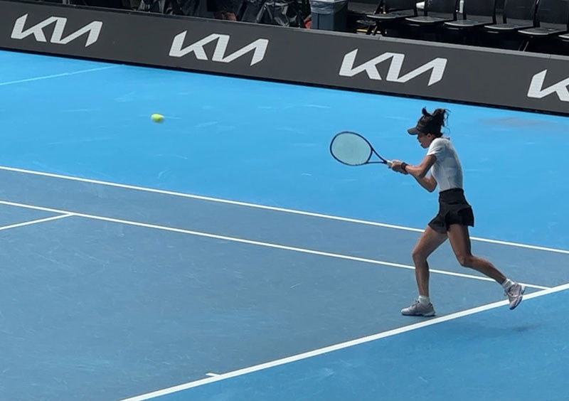 Taiwan tennis player Hsieh takes doubles title at Australian Open