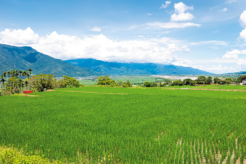 Reinventing Farming - Taiwan Today