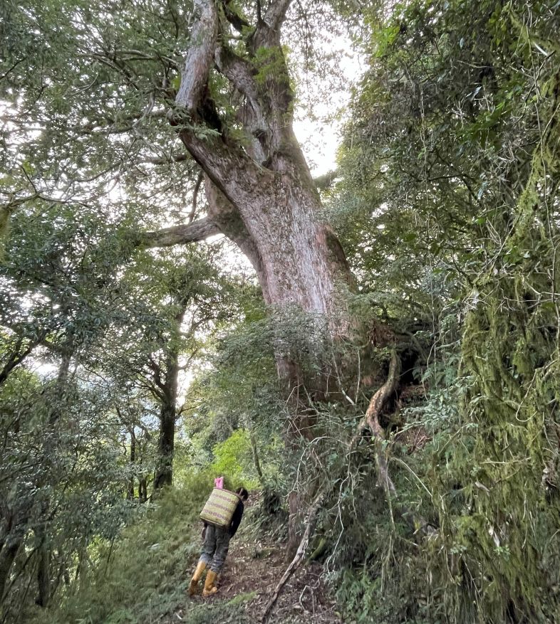 Skill cultivation - Taiwan Today