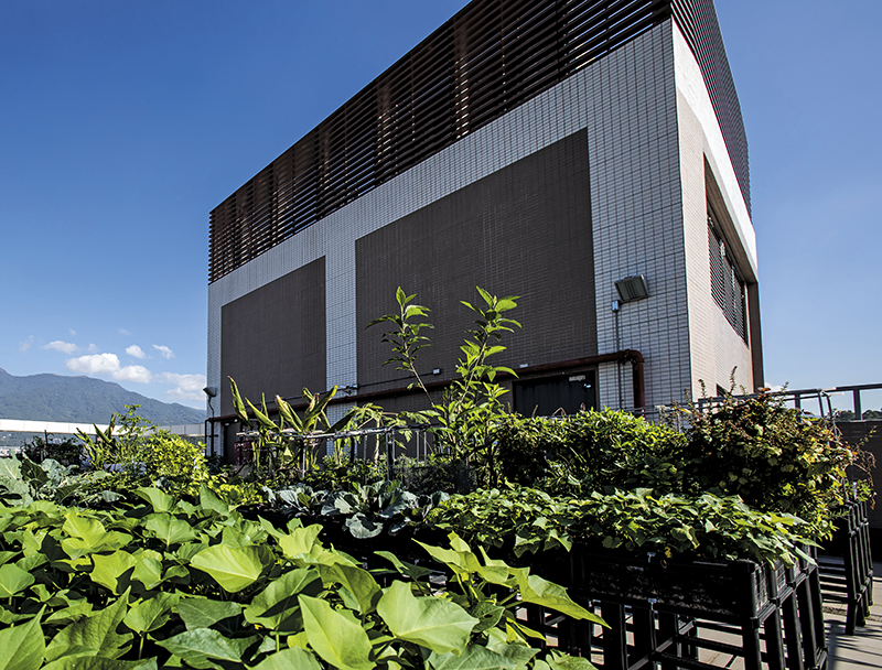 Green Life - Taiwan Today