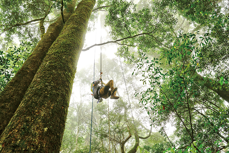 Ecological Connection - Taiwan Today