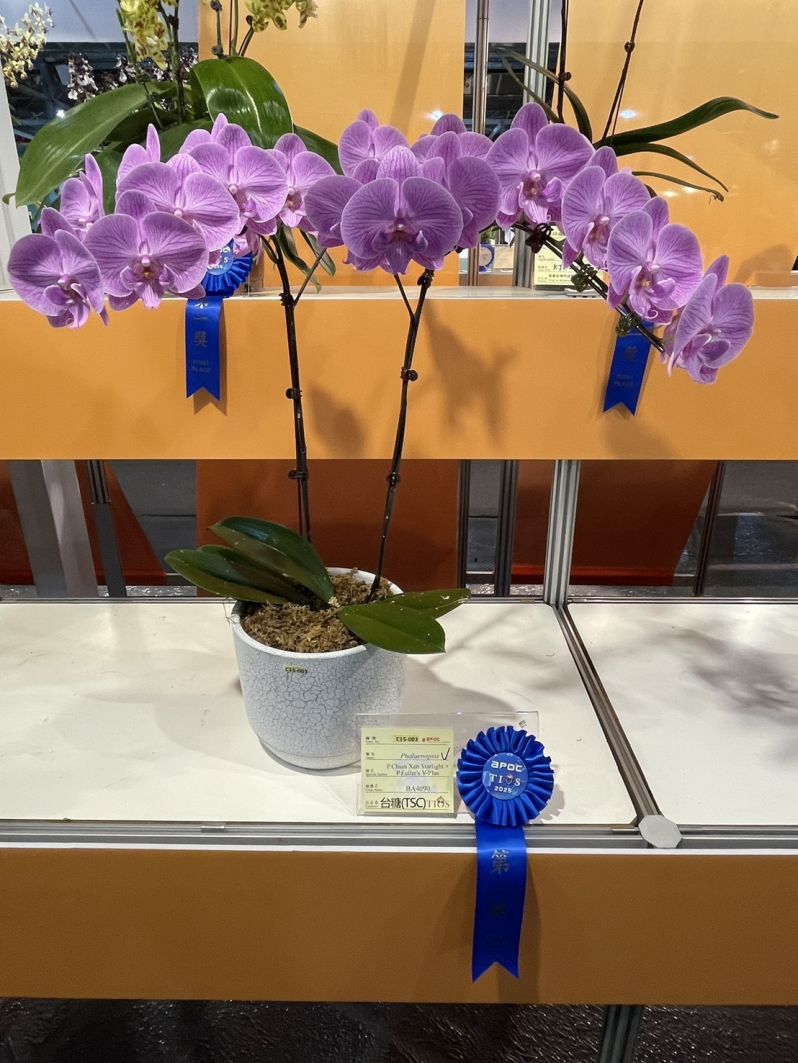 Beautiful winner - Taiwan Today