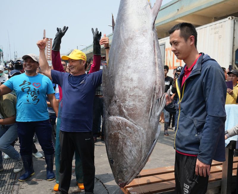 Piscine behemoth - Taiwan Today