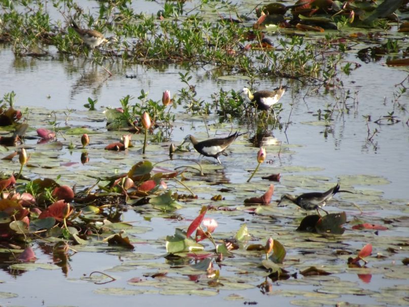 Remarkable recovery - Taiwan Today