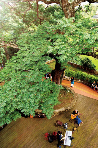 Hakka Heritage - Taiwan Today