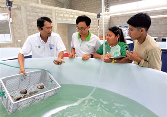 Alternative Mission - Taiwan Today