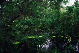 Greener Cities - Taiwan Today
