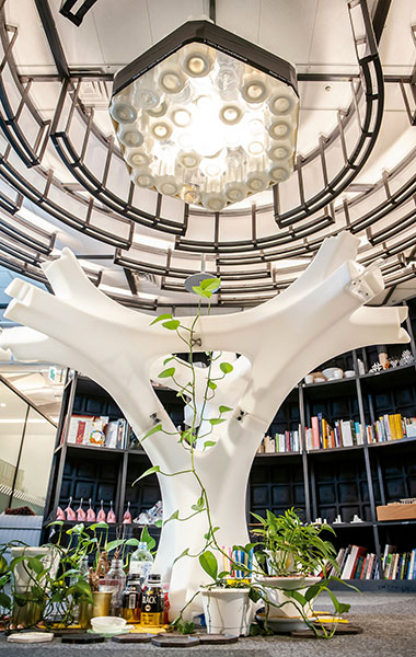 Global Sustainability Through Zero Waste: Miniwiz Pushes the Circular ...