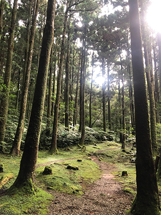 Natural Gateways - Taiwan Today