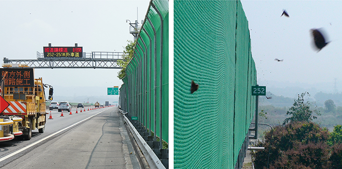 Freeway Metamorphosis - Taiwan Today